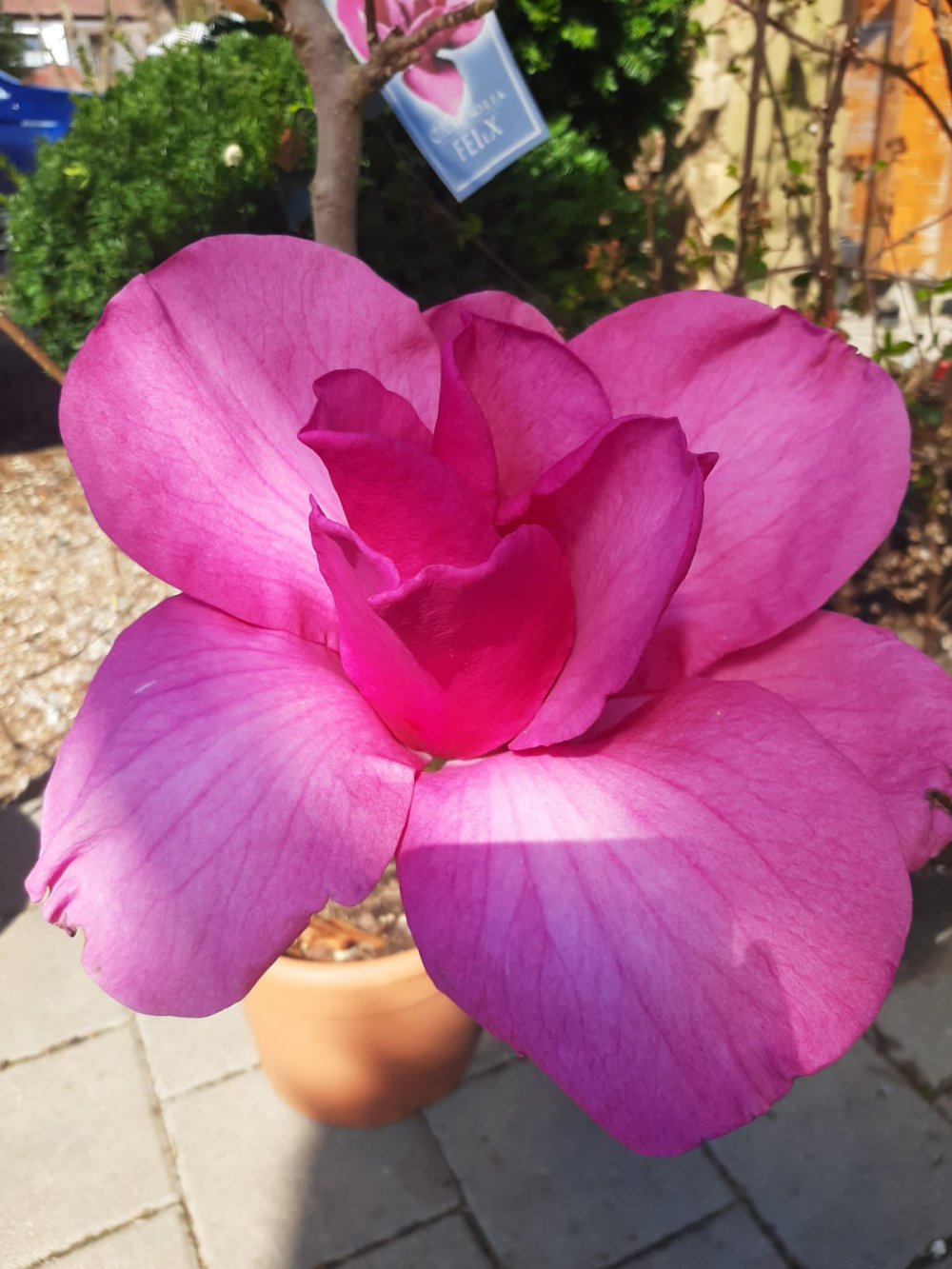 Baumschule Grimm | Aktuell